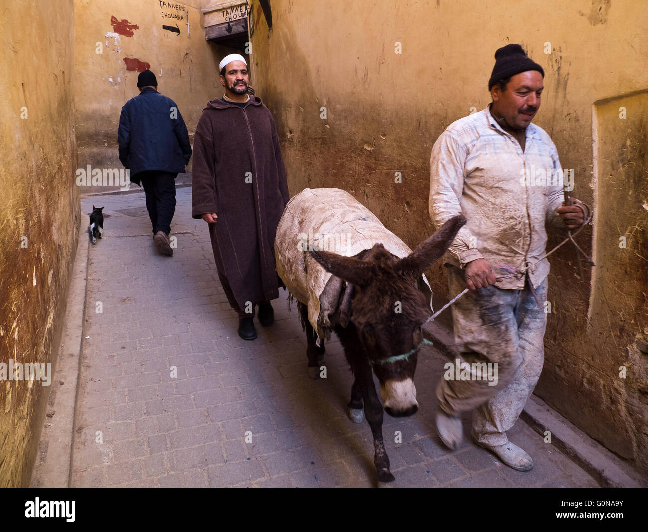 Man walking fez fes medina hi-res stock photography and images - Alamy