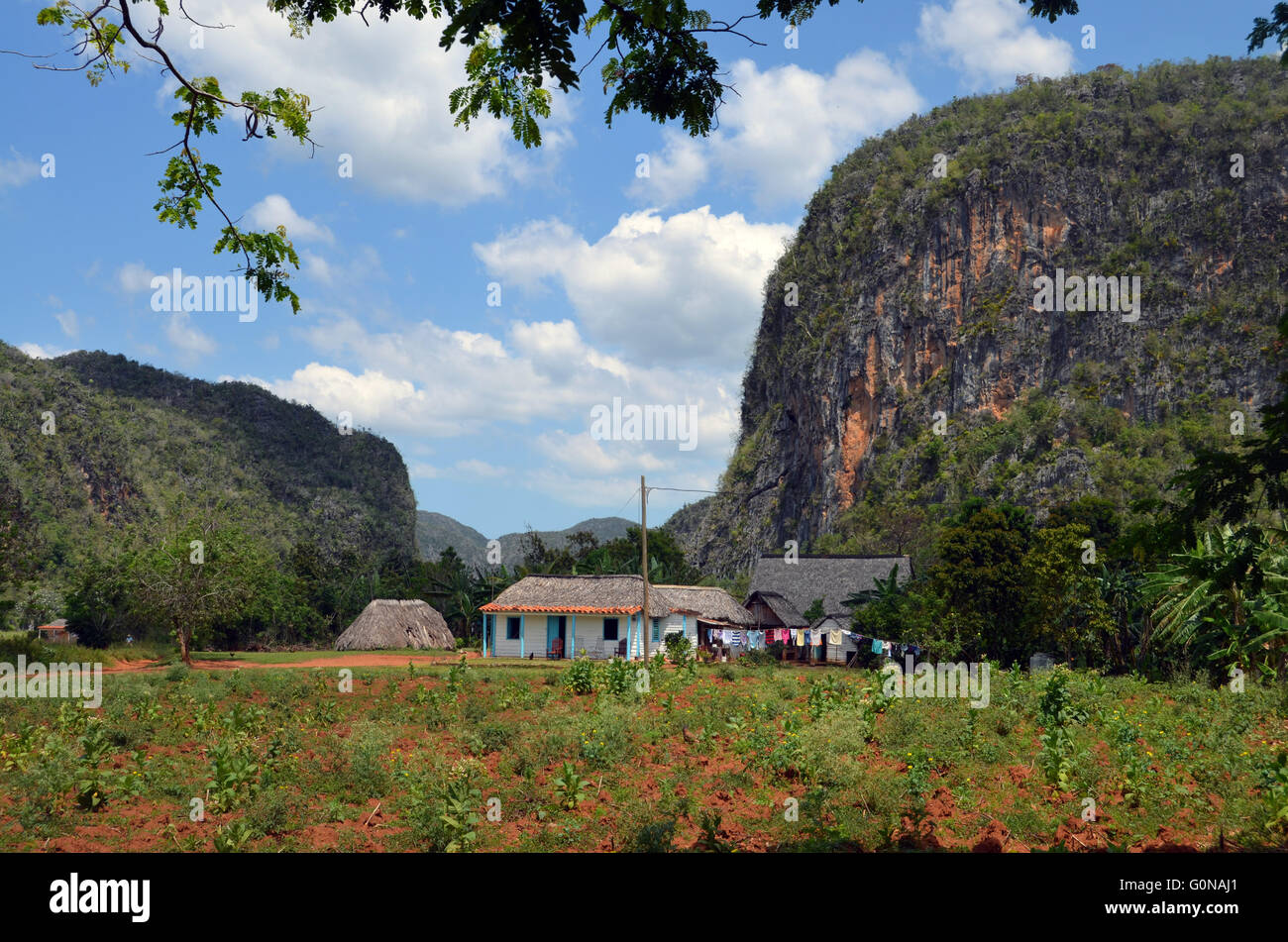 Farming valley caribbean hi-res stock photography and images - Alamy