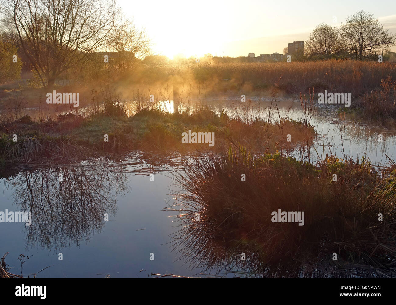 Barnes pond hi-res stock photography and images - Alamy