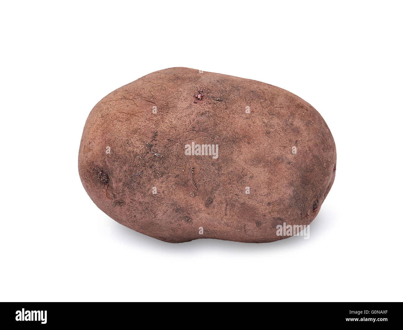 Potato Isolated On White Stock Photo - Alamy