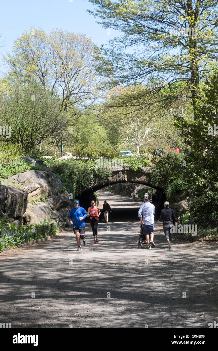 Pathway in Central Park, NYC Stock Photo - Alamy