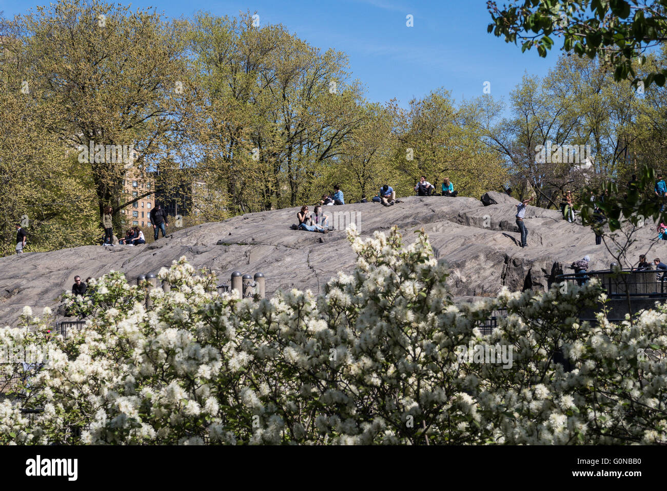 People Enjoying Overview Rock Formation, Central Park, NYC Stock Photo ...