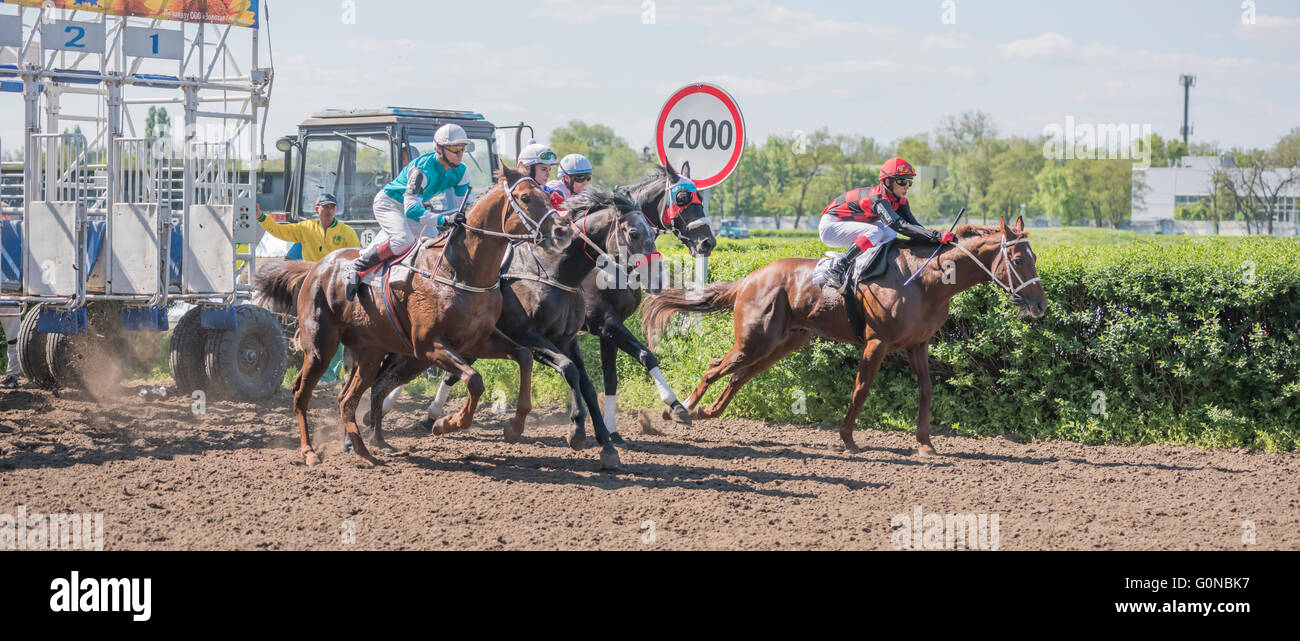 Horse race gate jockey hi-res stock photography and images - Alamy