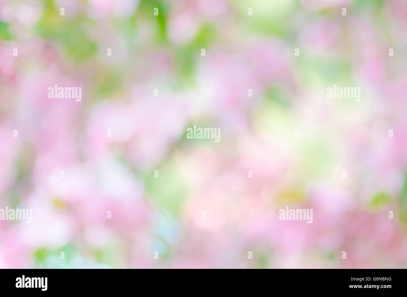 defocused blurred spring nature background Stock Photo - Alamy