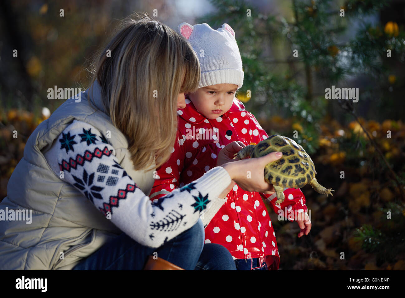 mother shows her little daughter turtle Stock Photo - Alamy