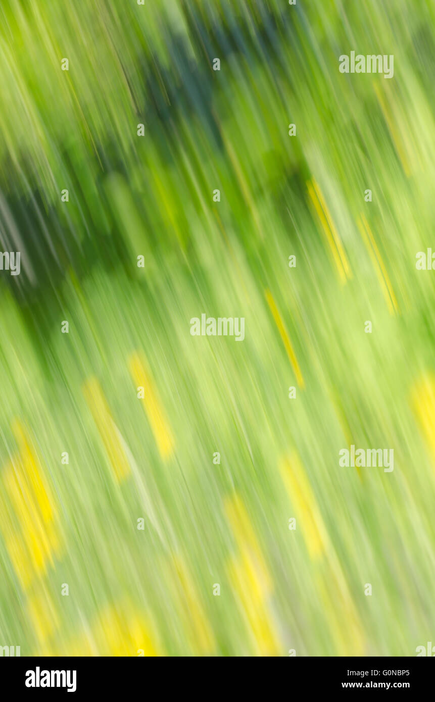 defocused blurred spring nature background Stock Photo - Alamy