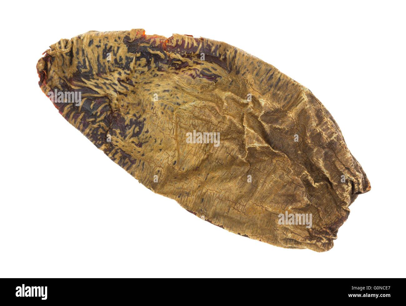 Top view of a dried chipotle chile pepper isolated on a white ...