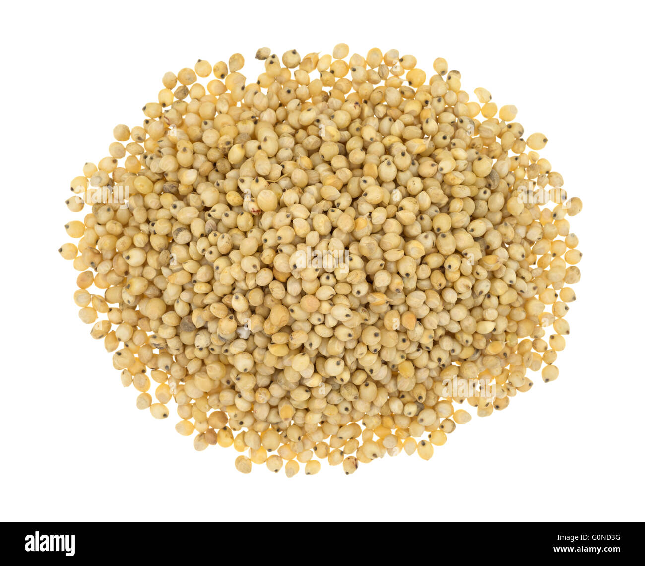 Sorghum seeds hi-res stock photography and images - Alamy