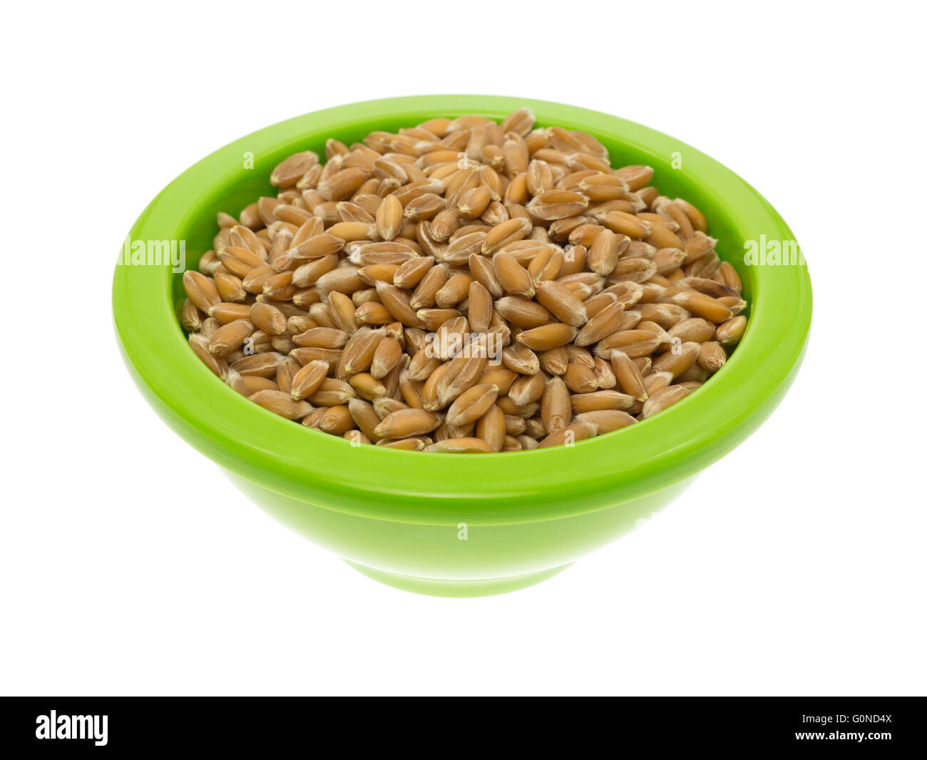 Side view of a small bowl filled with organic whole grain spelt ...