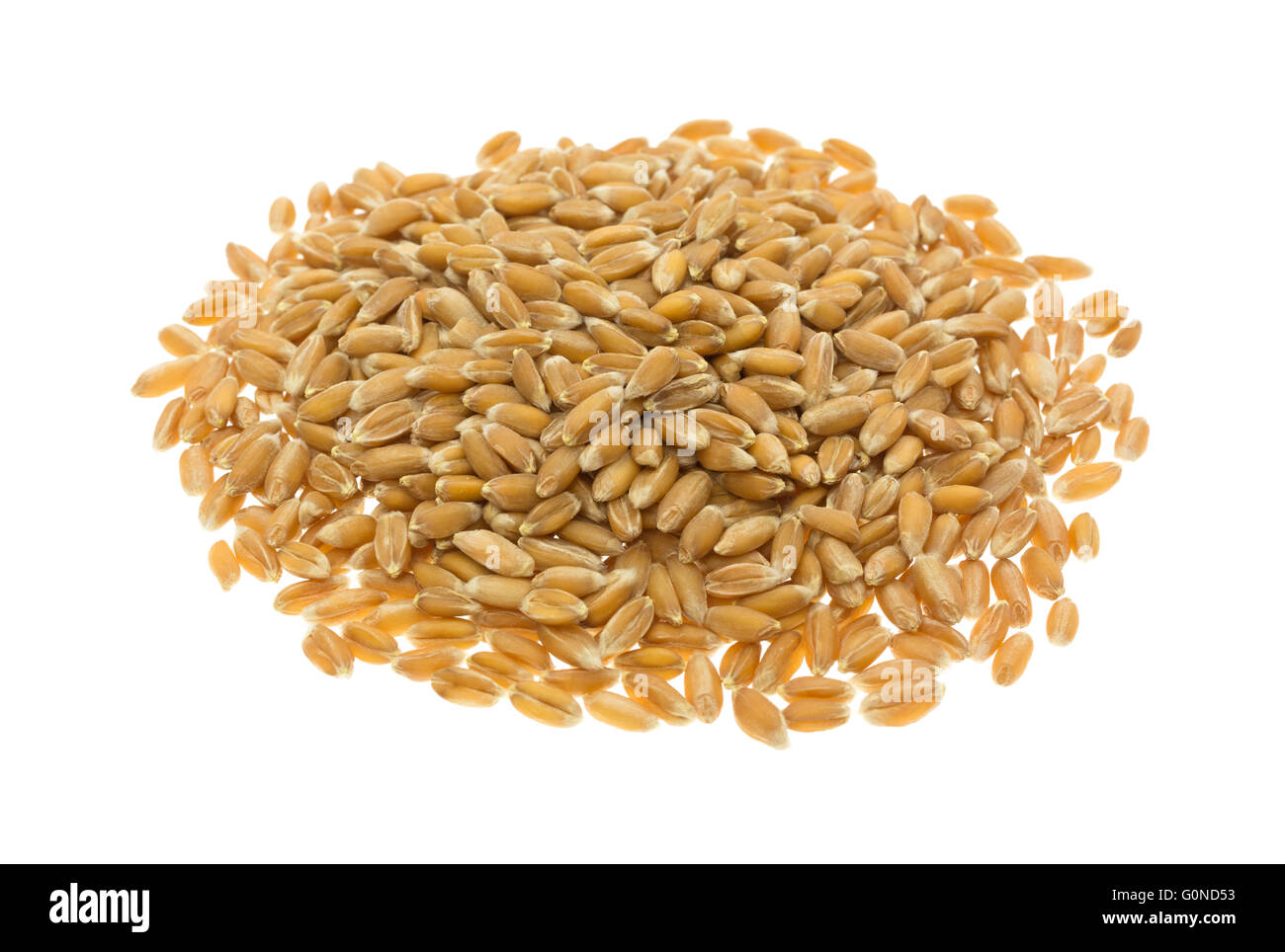 A small portion of organic whole grain spelt isolated on a white ...