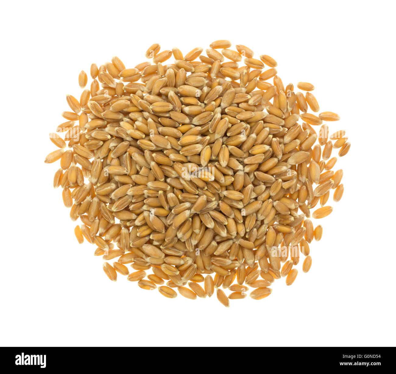 Top view of a small portion of organic whole grain spelt isolated on a ...