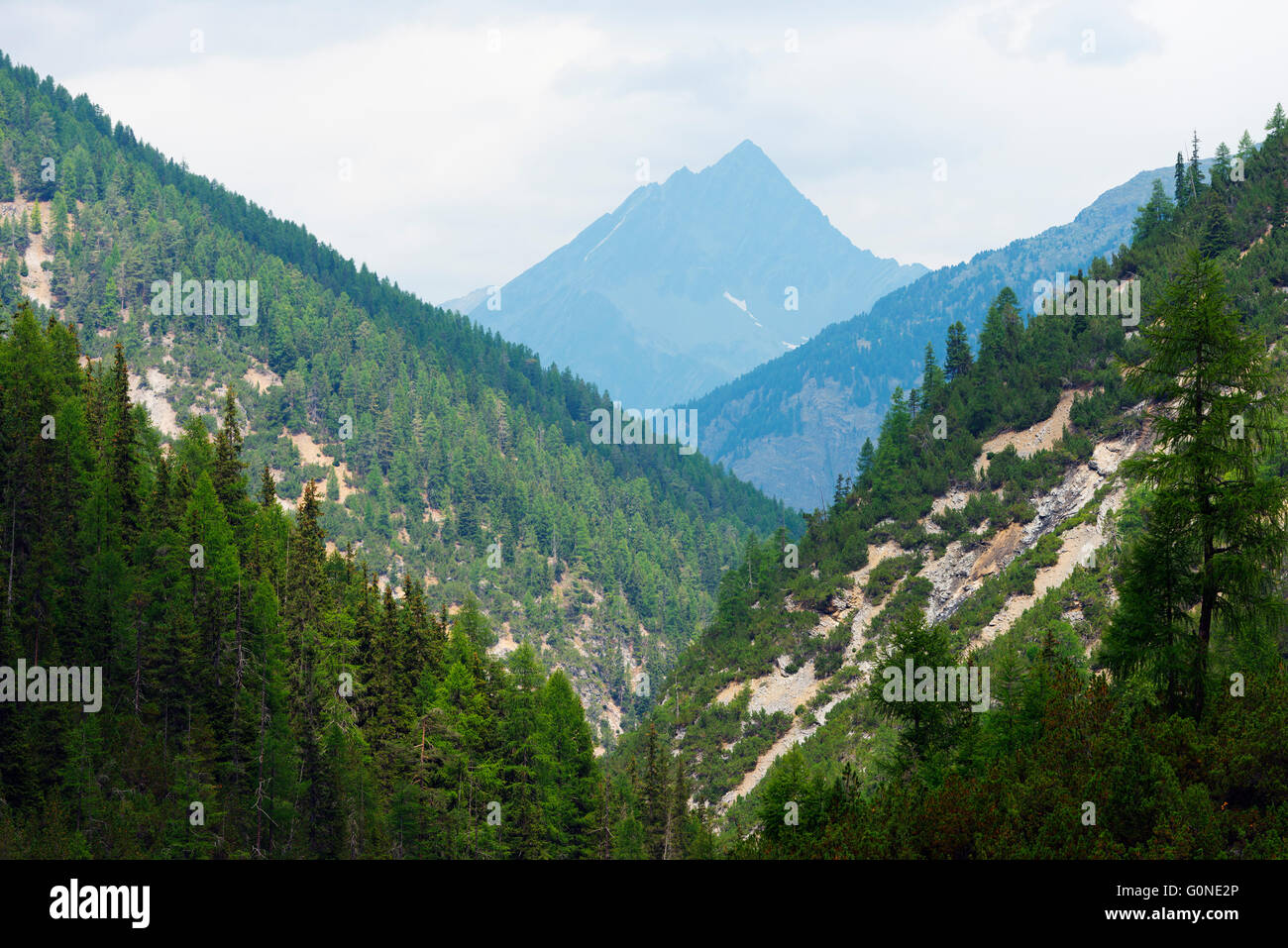 Engadine national park hi-res stock photography and images - Alamy