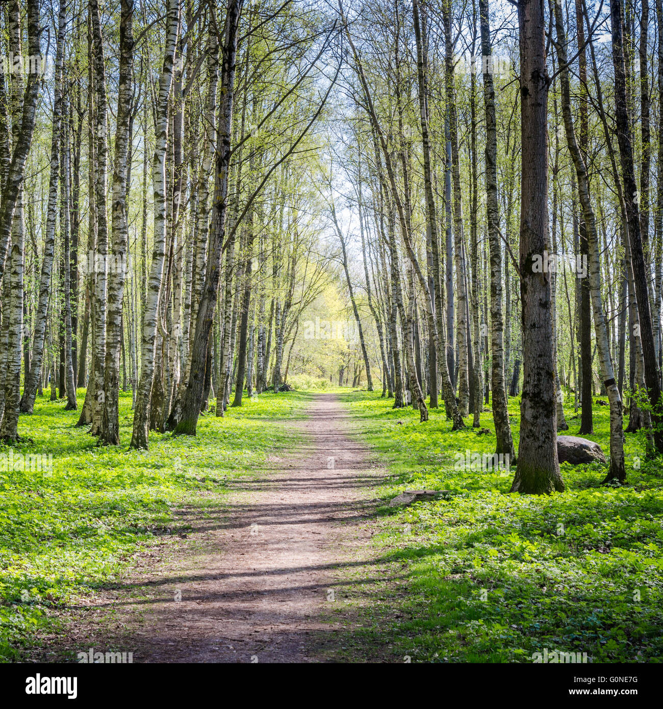 Solar spring hi-res stock photography and images - Alamy