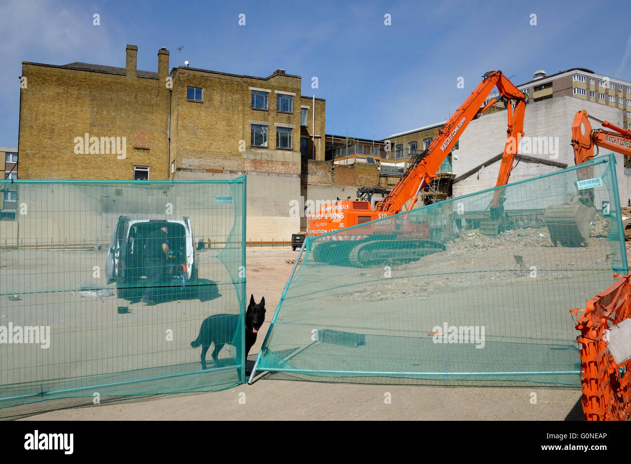 Guard dog security at a Demolition site in London Stock Photo - Alamy