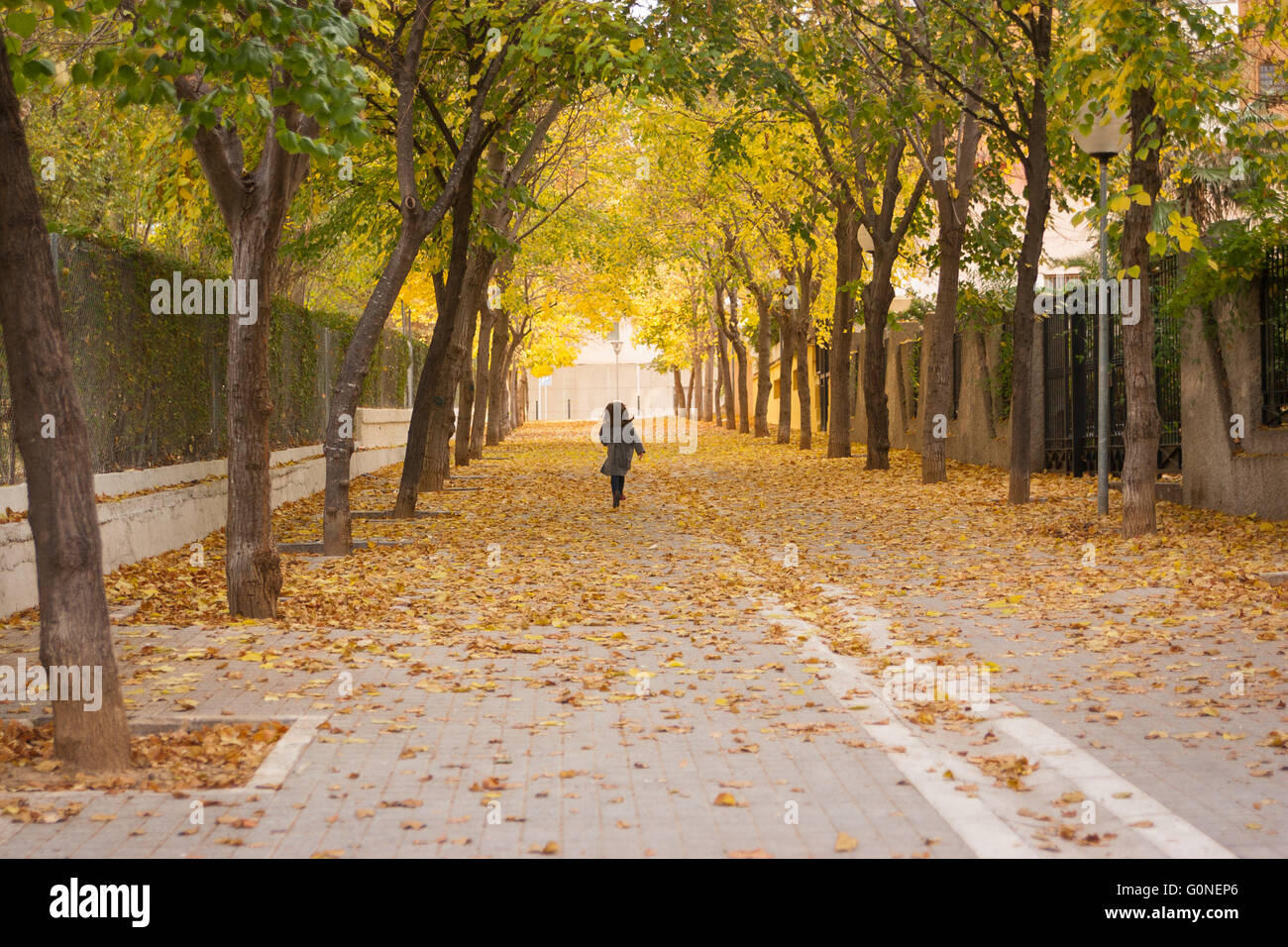 Girl run trees hi-res stock photography and images - Alamy