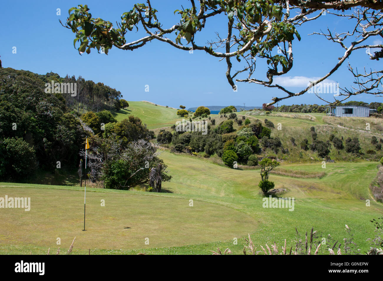New Zealand, Stewart Island, Oban, Halfmoon Bay. Island golf course ...