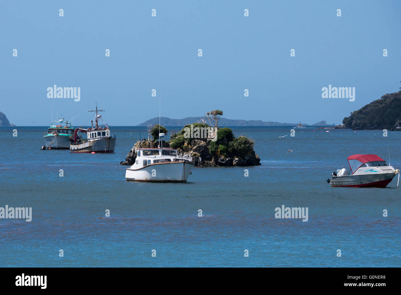 Stewart island boat harbour hi-res stock photography and images - Alamy