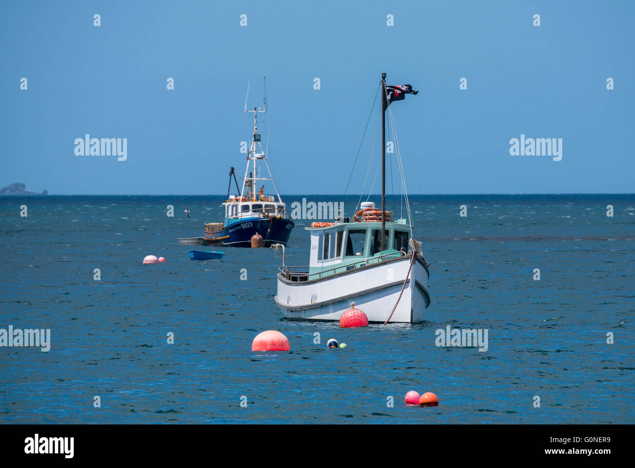 New Zealand, Stewart Island, Oban, Halfmoon Bay. Fishing boats in the ...