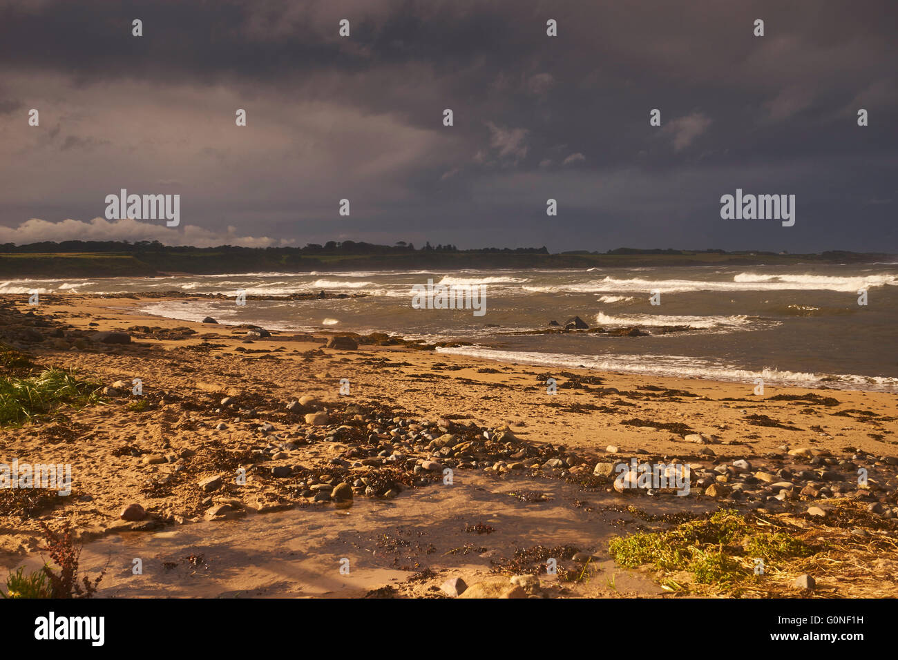 What Does It S Blowing A Gale Mean at Nathan Dates blog