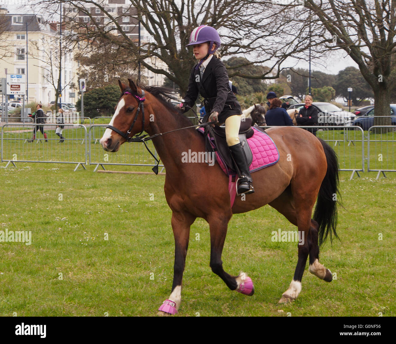 A young girl rides a horse at a show jumping event Stock Photo - Alamy
