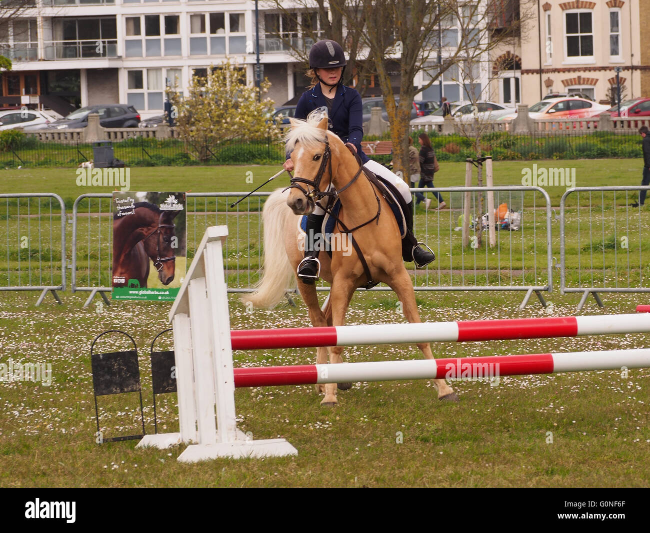 A horse refuses to jump a hurdle at a showjumping event Stock Photo - Alamy