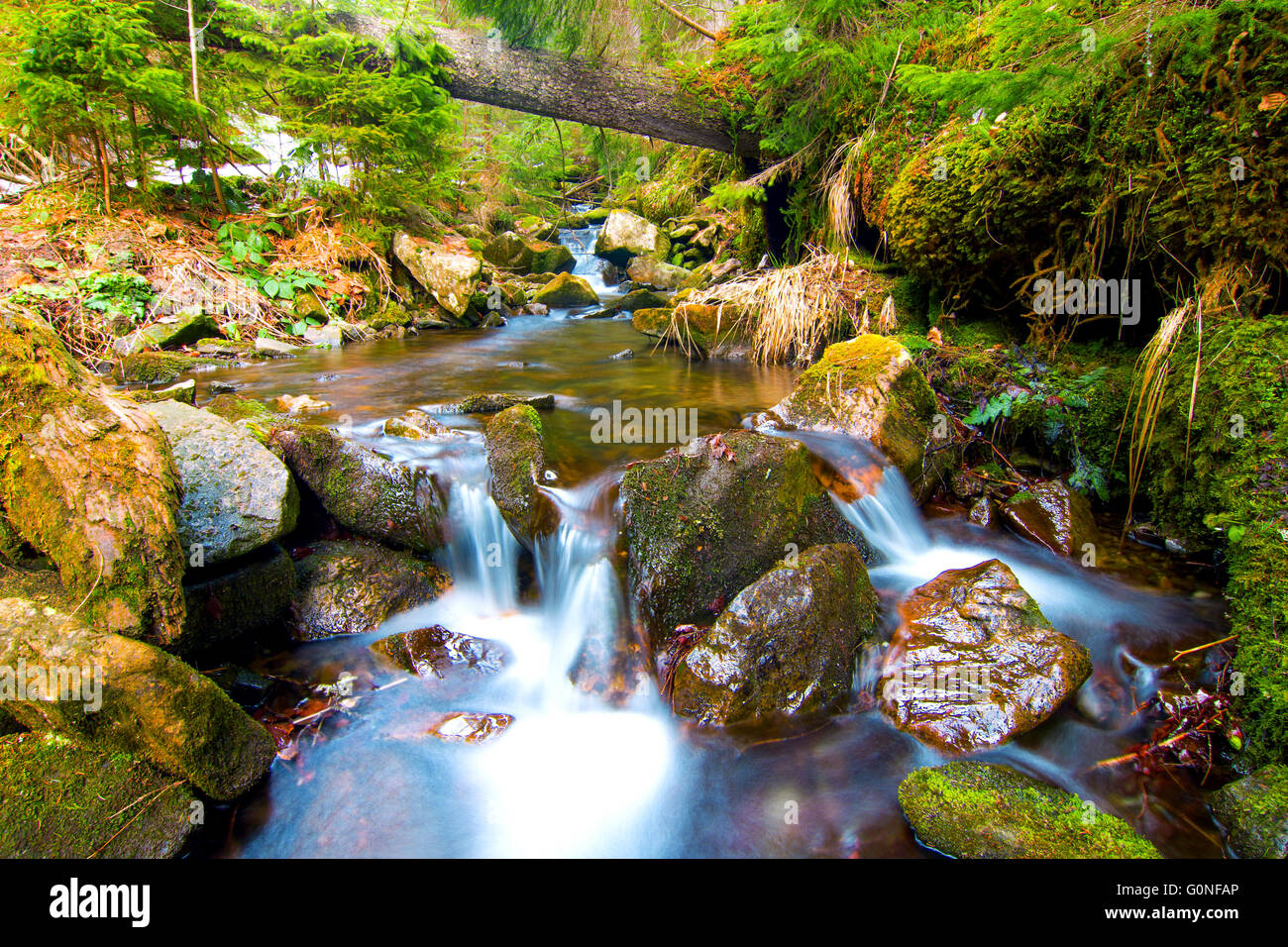 Little waterfall in mountain forest with silky foaming water and wet ...