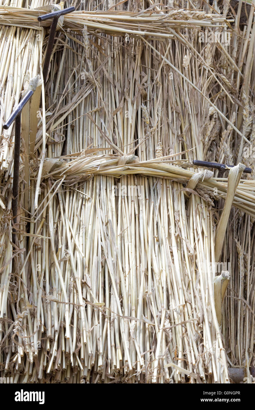Thatching equipment for roofing Stock Photo - Alamy