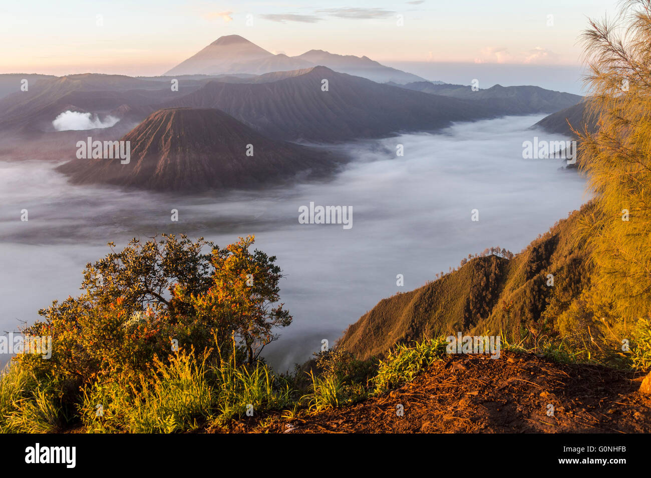 Aerial view mount bromo volcano hi-res stock photography and images - Alamy
