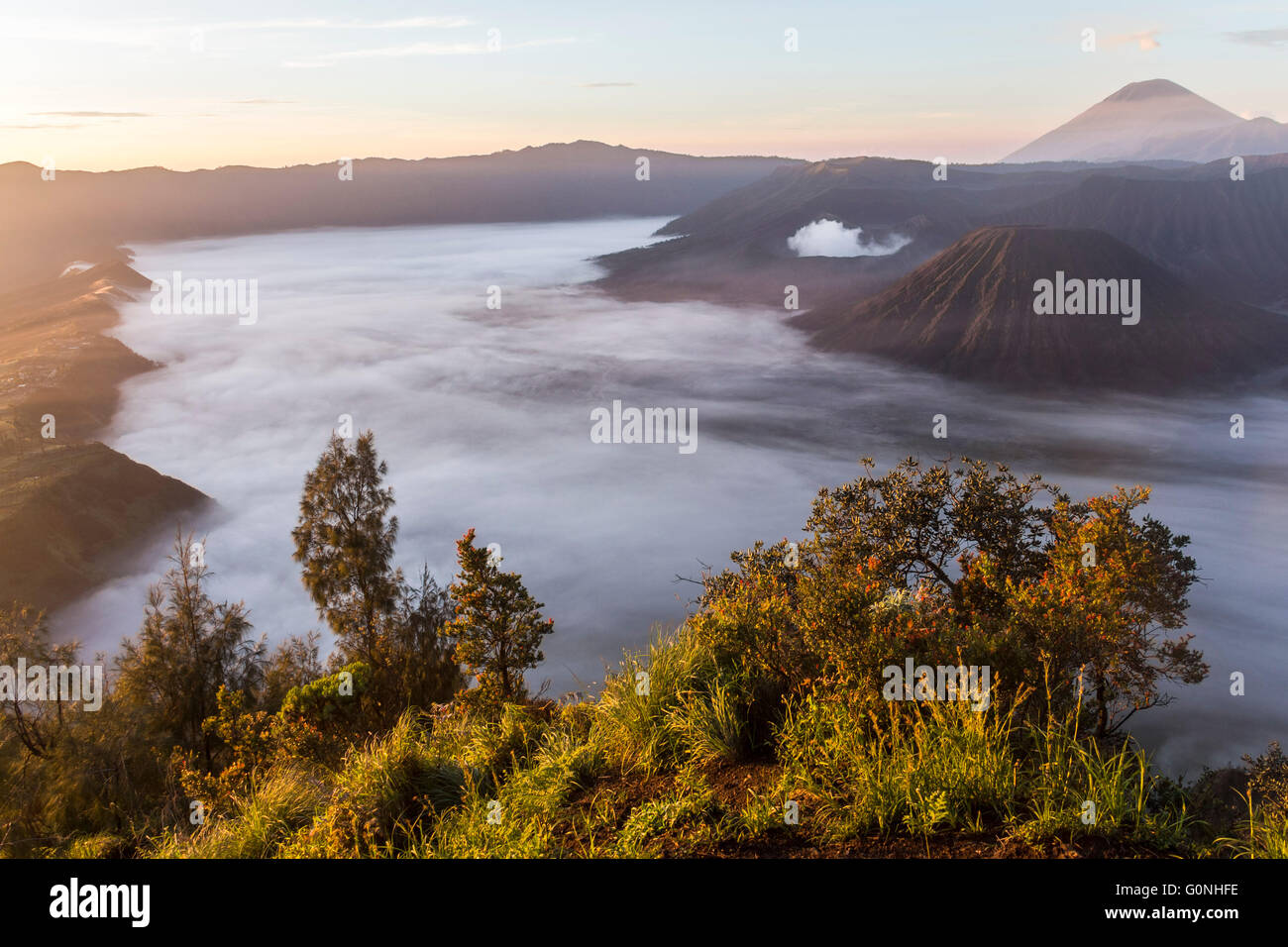 View on Mount Bromo landscape at sunrise Stock Photo - Alamy