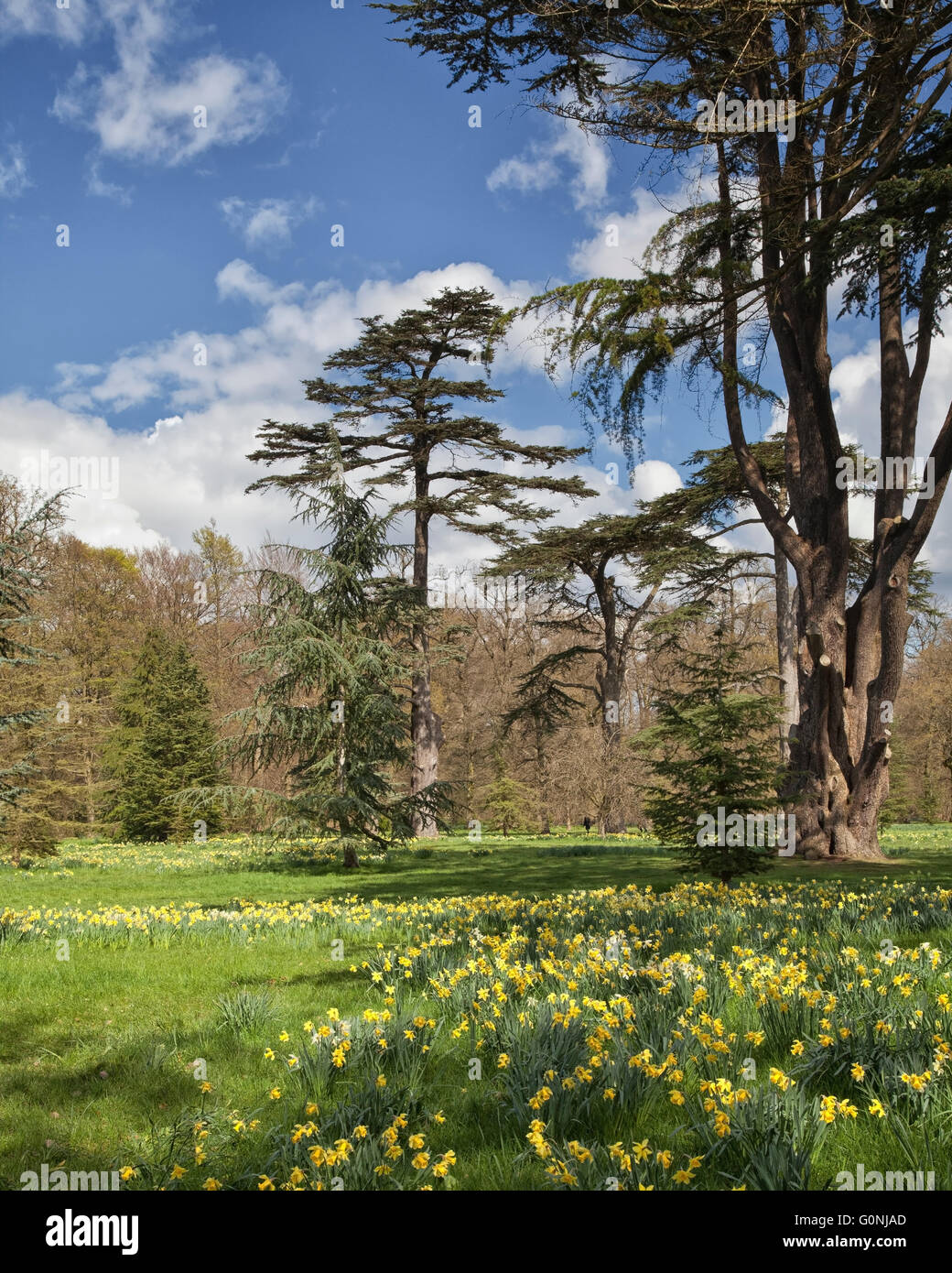 Ickworth suffolk gardens hi-res stock photography and images - Alamy