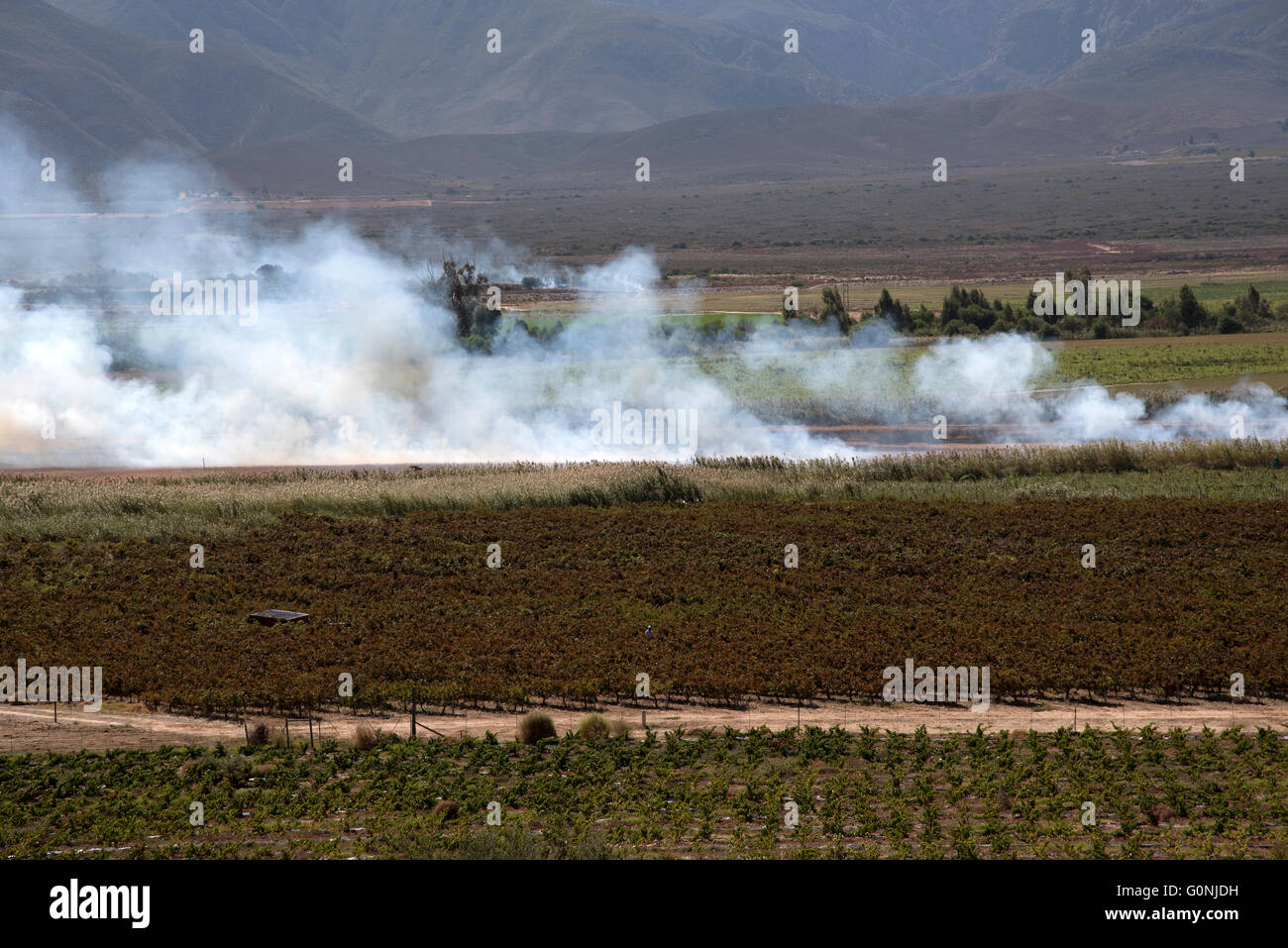 Smoke from a fire burning off a farmers field in the Western Cape South ...