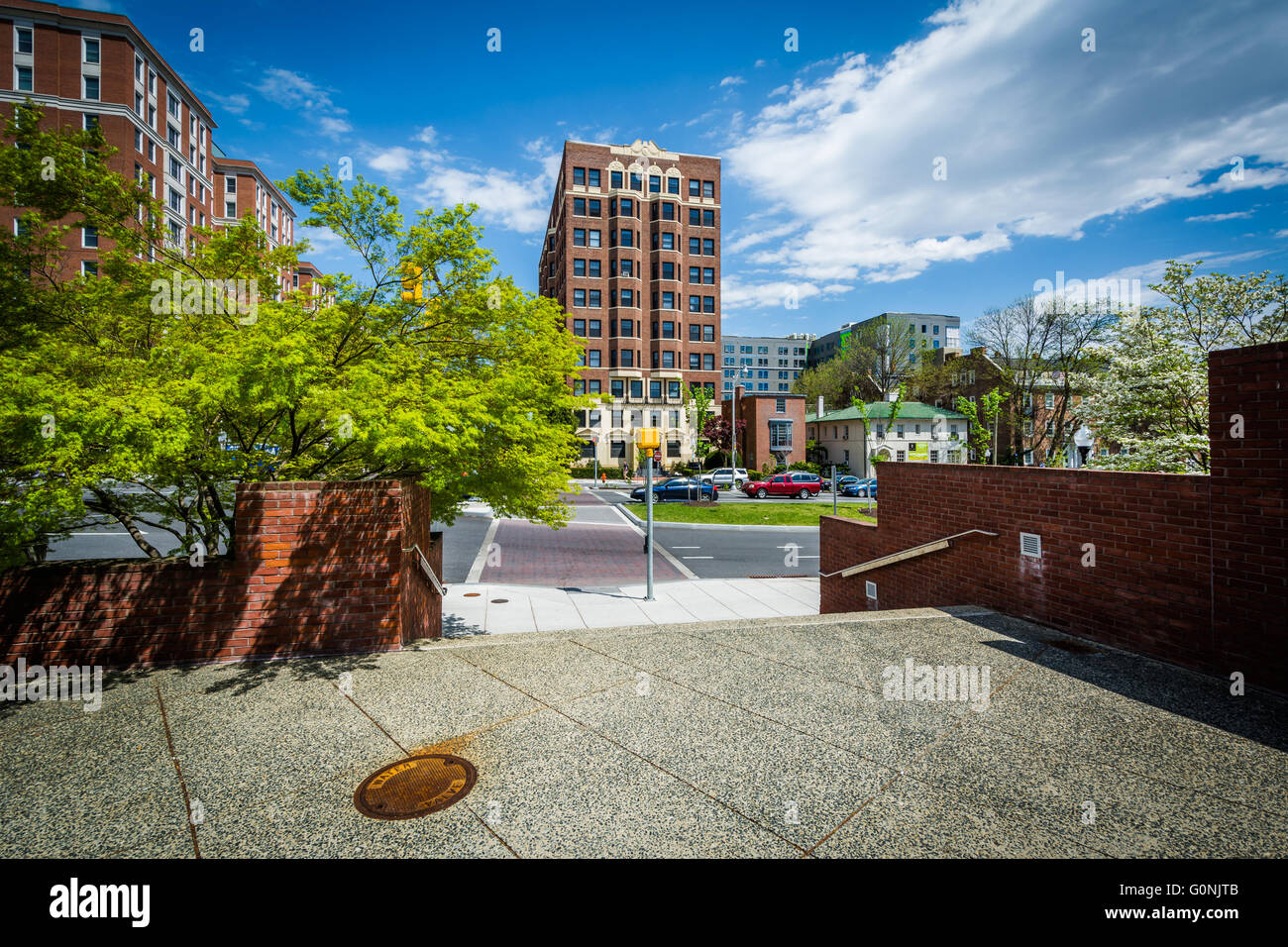 Buildings along Charles Street in Charles Village, Baltimore, Maryland ...