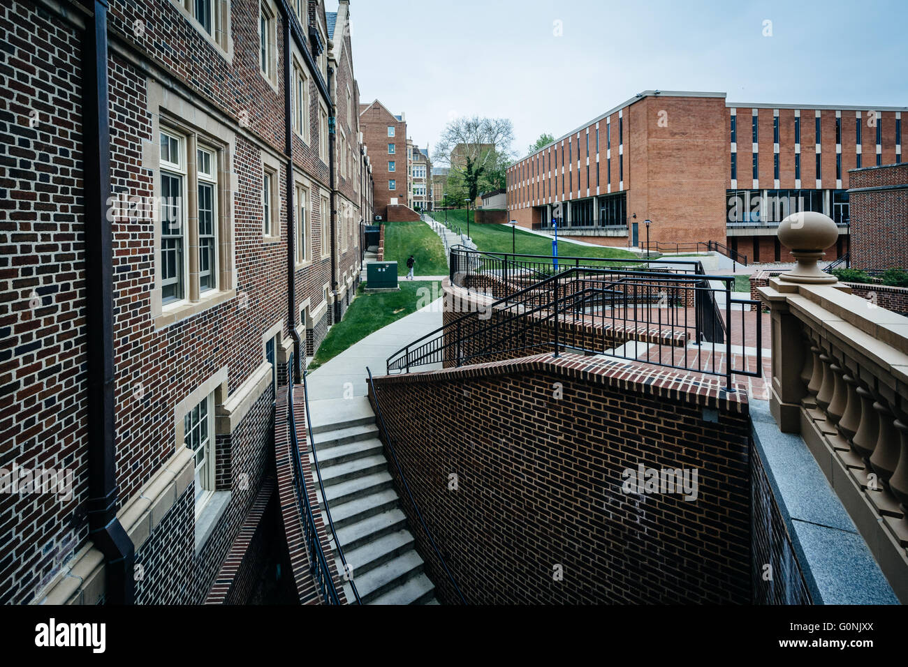 Towson university hi-res stock photography and images - Alamy