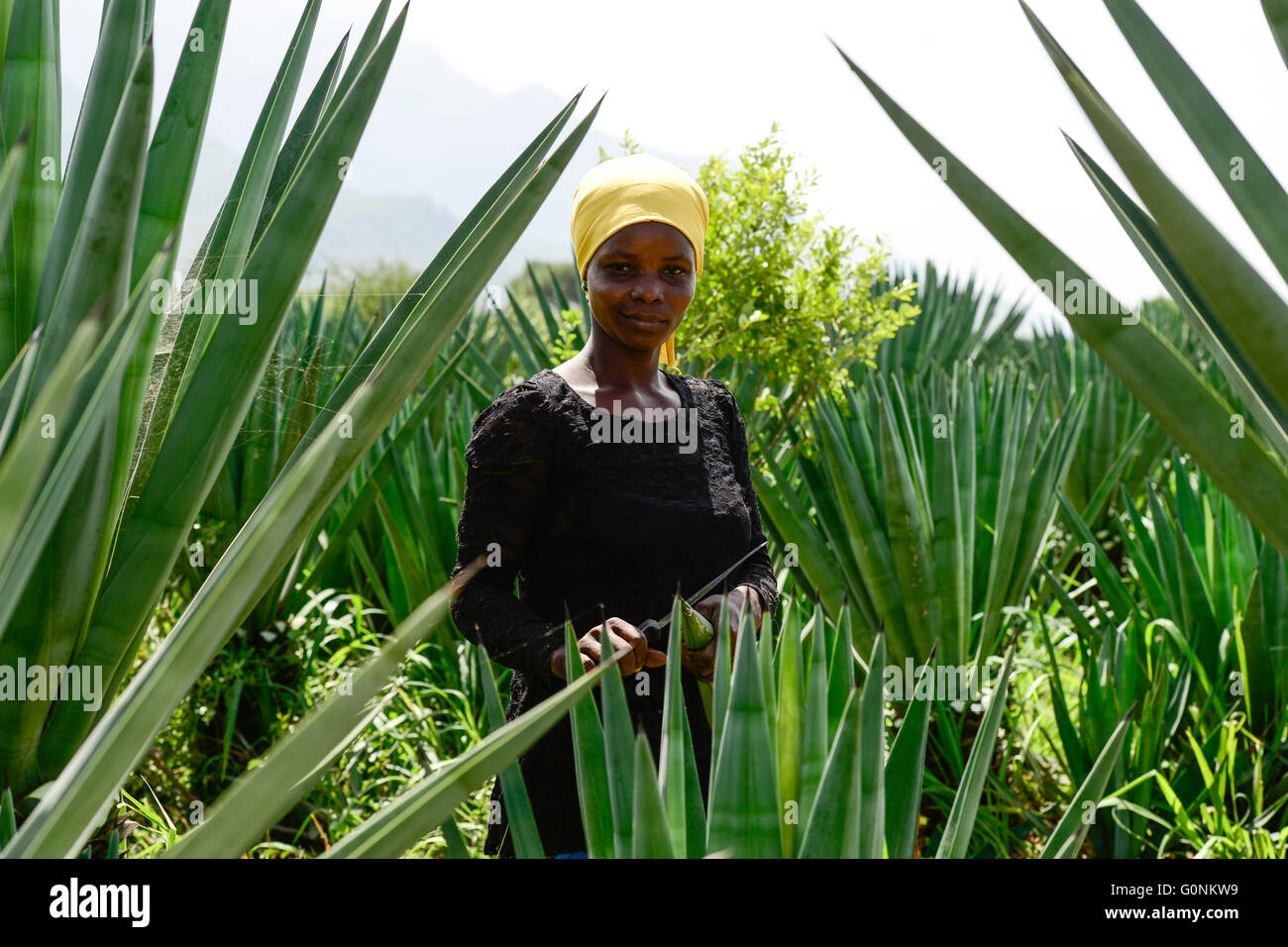 Arbeiterin hi-res stock photography and images - Alamy