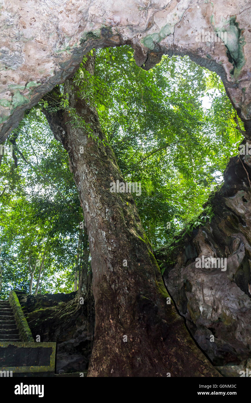 Cave entrance on Java, Indonesia Stock Photo - Alamy