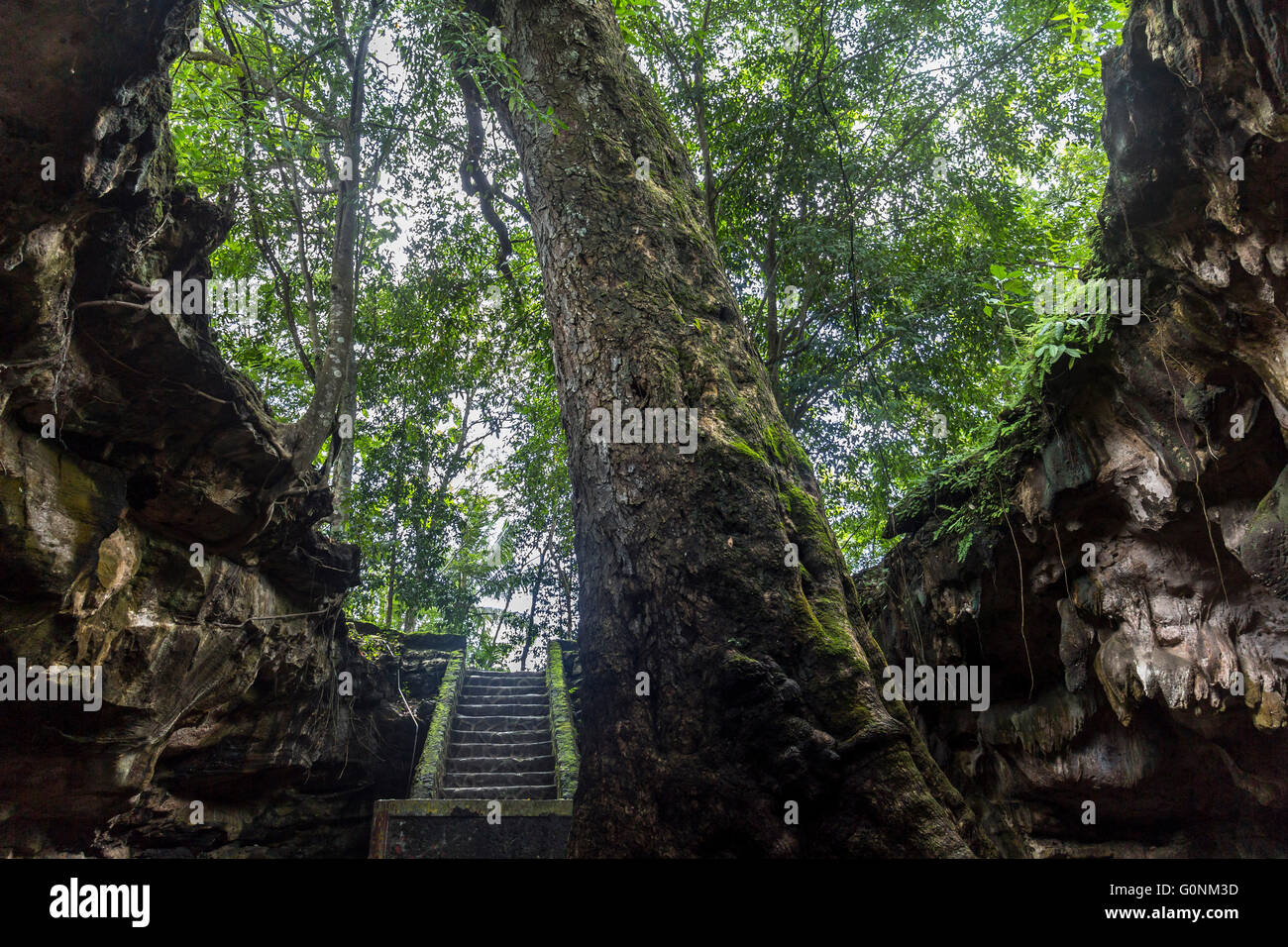 Cave entrance on Java, Indonesia Stock Photo - Alamy