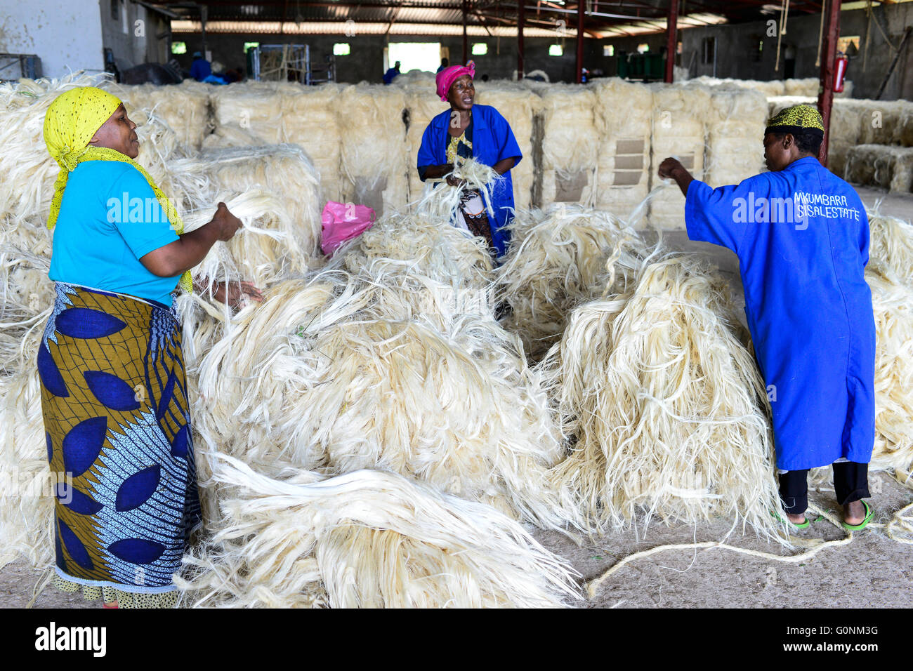 Sisal estate hi-res stock photography and images - Alamy