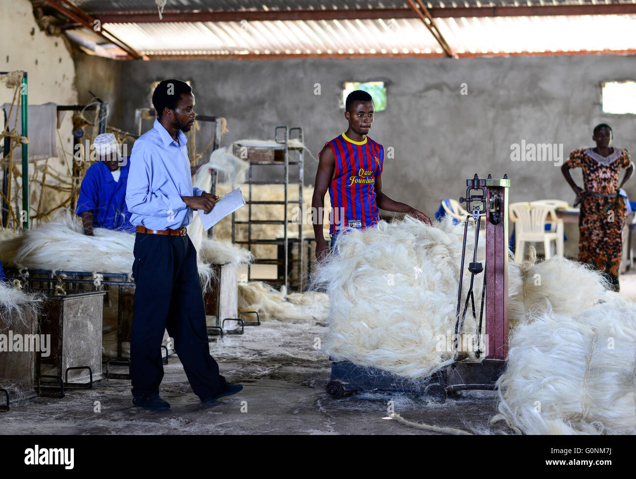 Sisal plantation tanzania africa hi-res stock photography and images ...