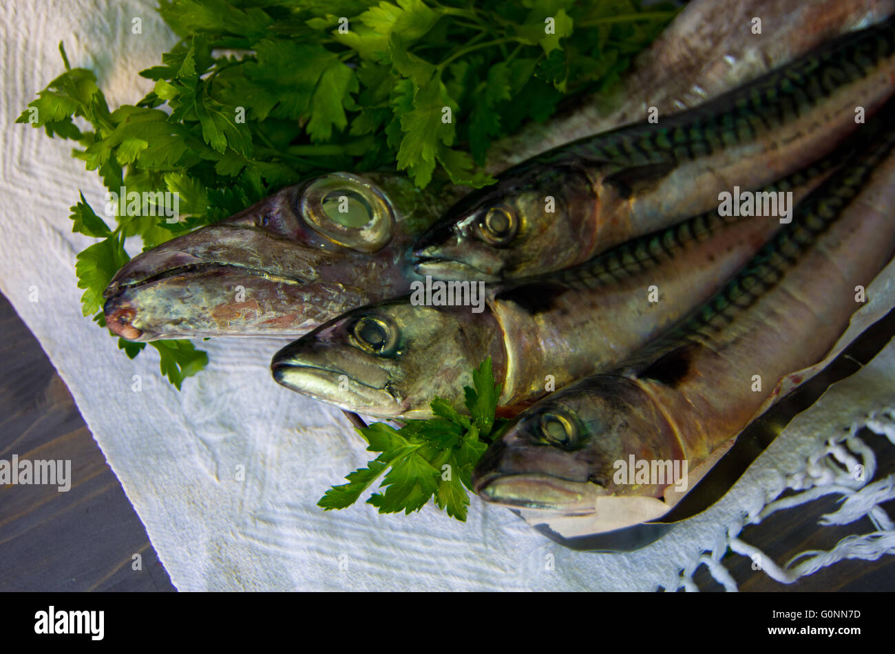 blue fish freshly caught great for a healthy diet ready to be cooked ...