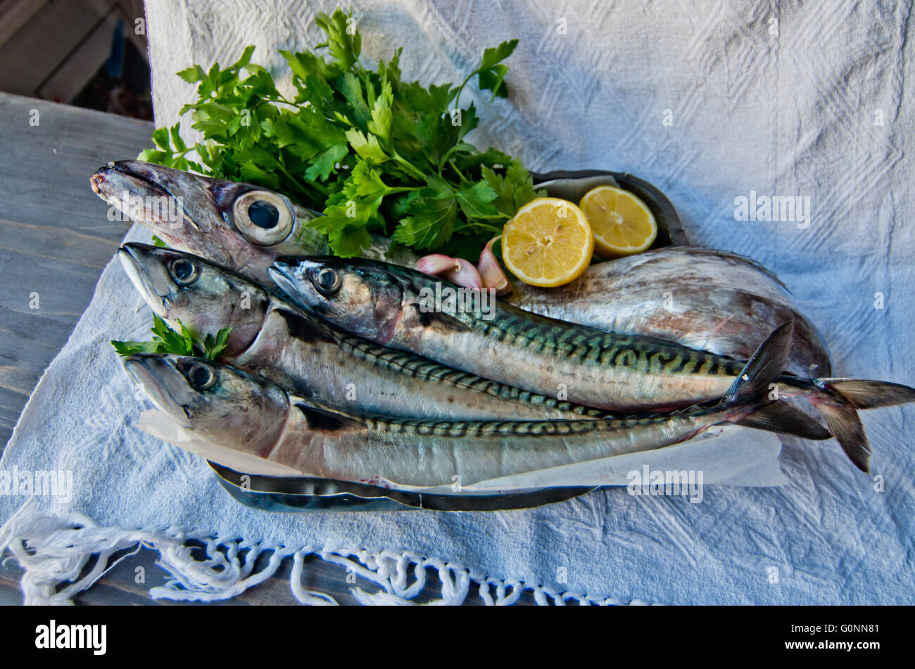 blue fish freshly caught great for a healthy diet ready to be cooked ...