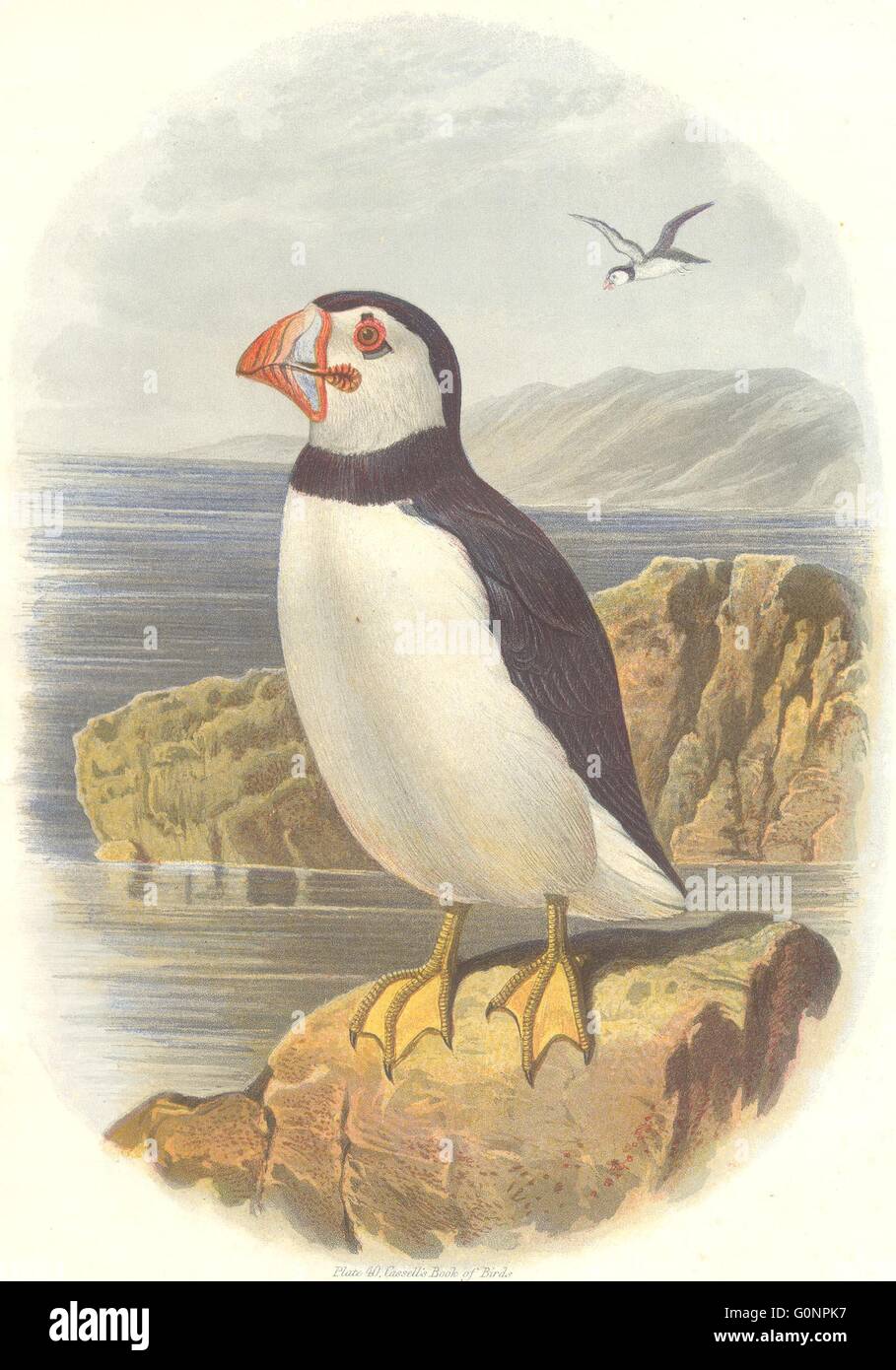 Puffin Books Logo