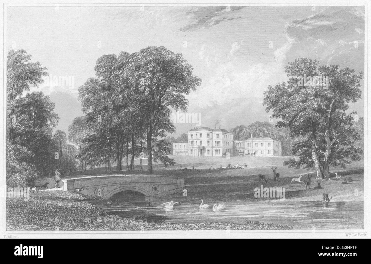 DEVON: Bicton House (The seat of John Rolle, Baron Rolle), antique ...