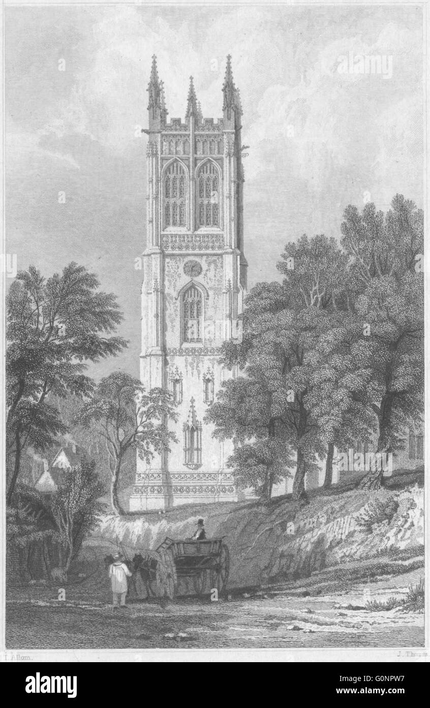 Probus hi-res stock photography and images - Alamy