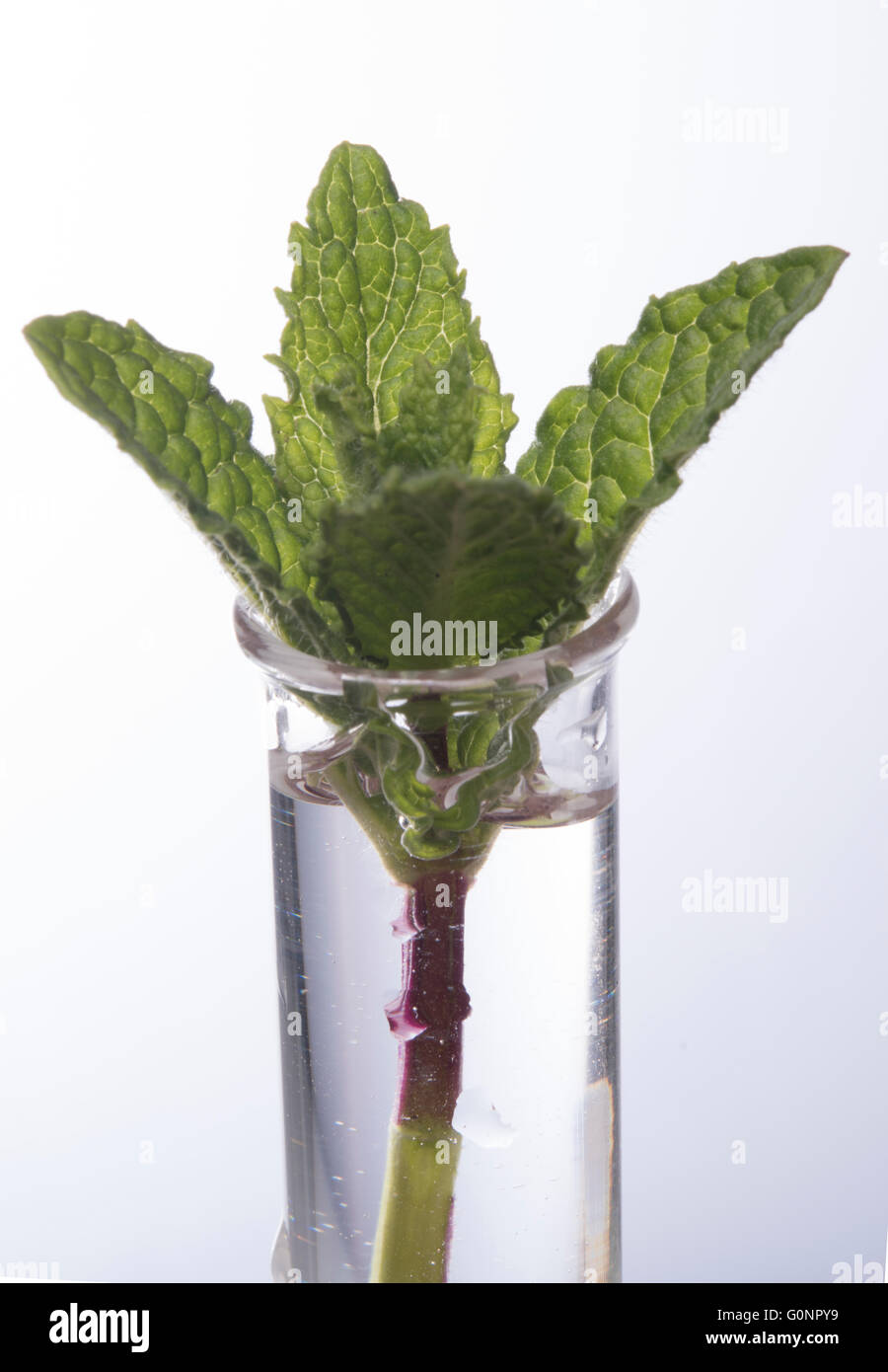 Green genetic hi-res stock photography and images - Alamy