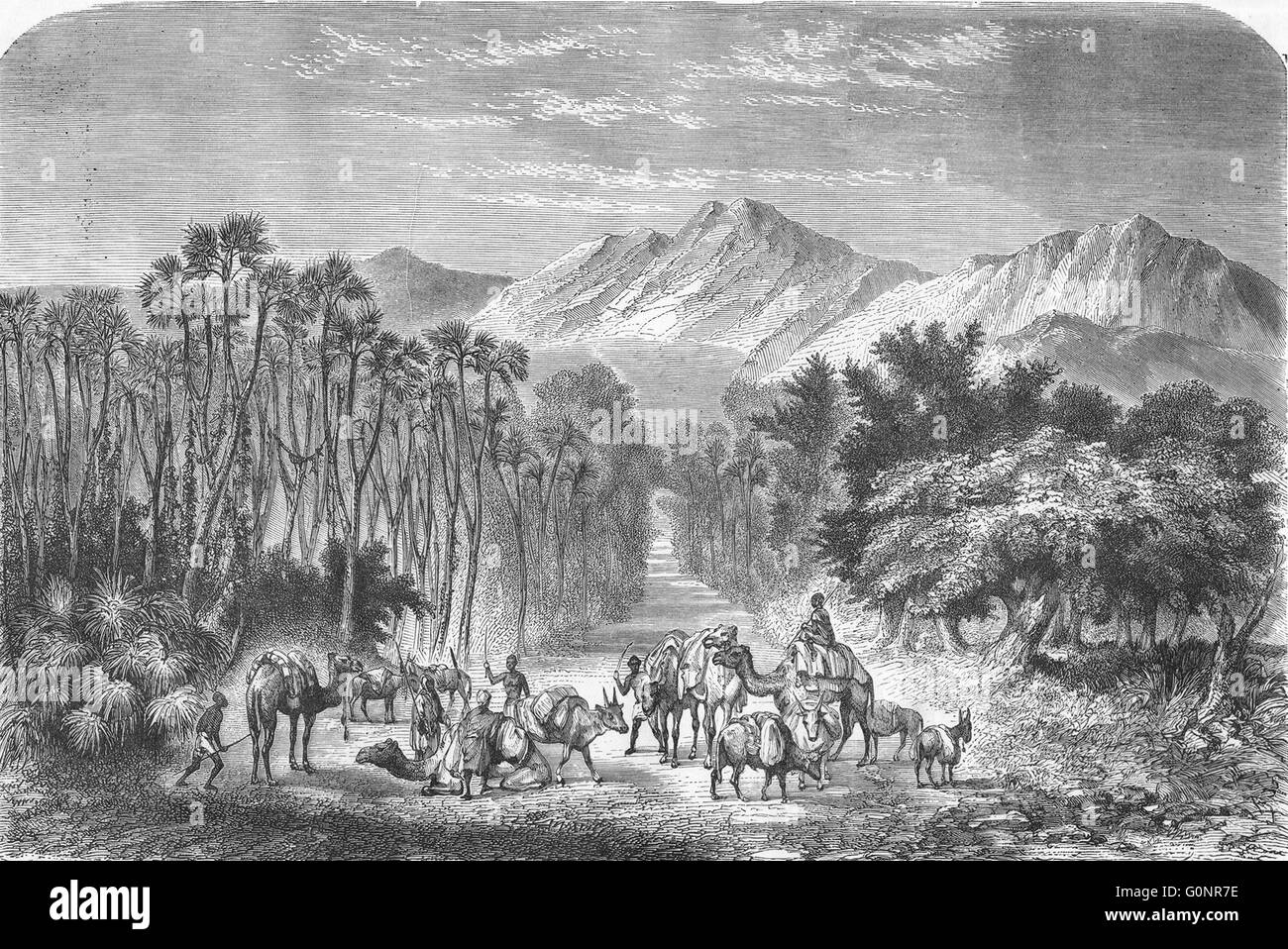 Niger valley hi-res stock photography and images - Alamy