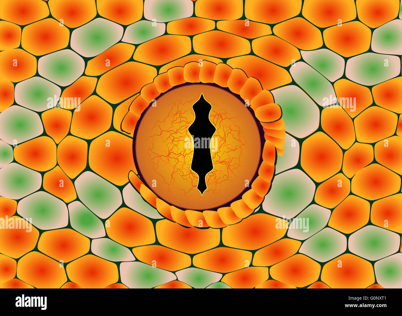 Snake eye - detail Stock Photo - Alamy