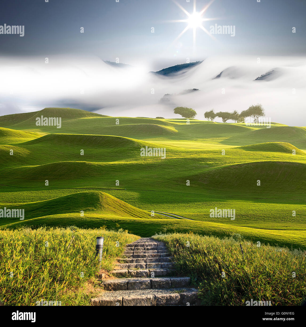 The beautiful landscape with nice background color Stock Photo - Alamy