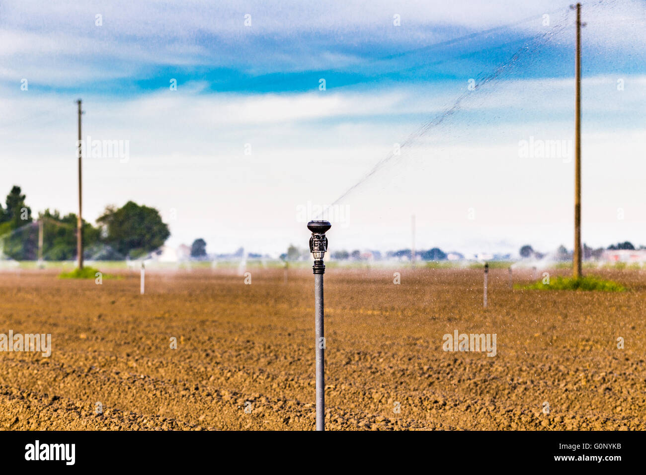 irrigation of cultivated fields with rotating sprayer Stock Photo - Alamy