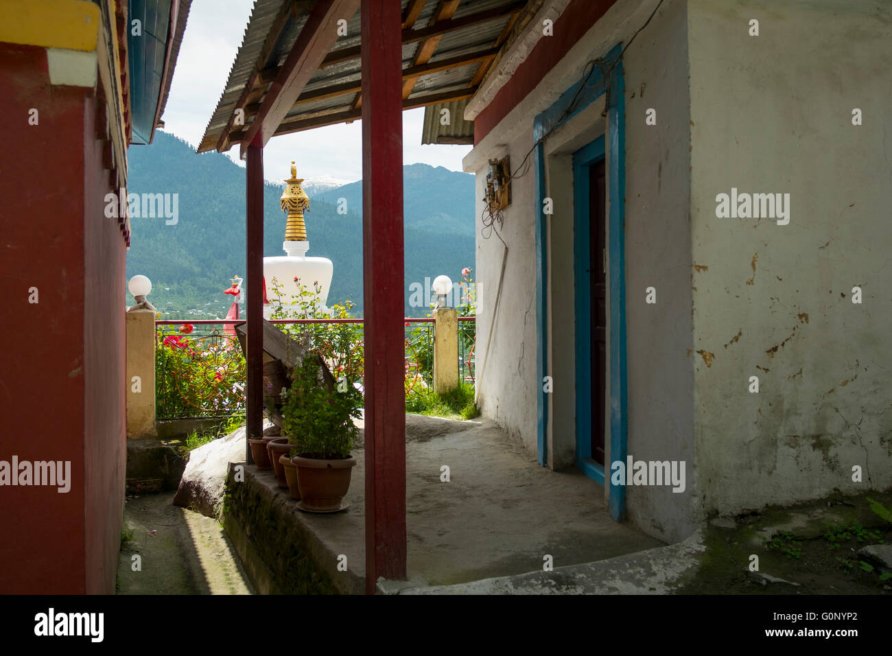 A tiny tibetan buddhist settlement in Manali, Himachal Pradesh, India ...