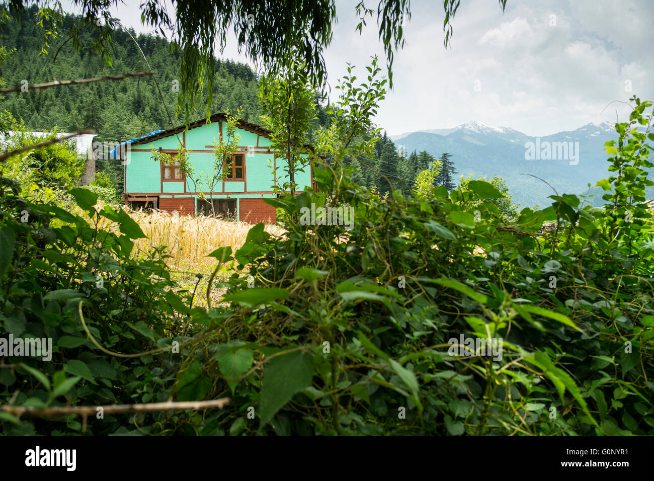 A beautiful Himalayan Log House in the traditional style with its ...